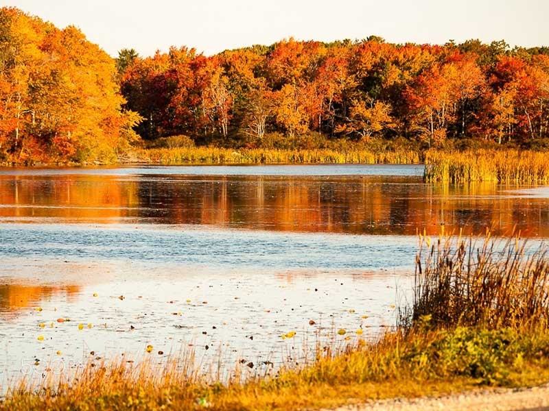 Khám phá những con đường mùa thu đẹp nhất ở nước Mỹ